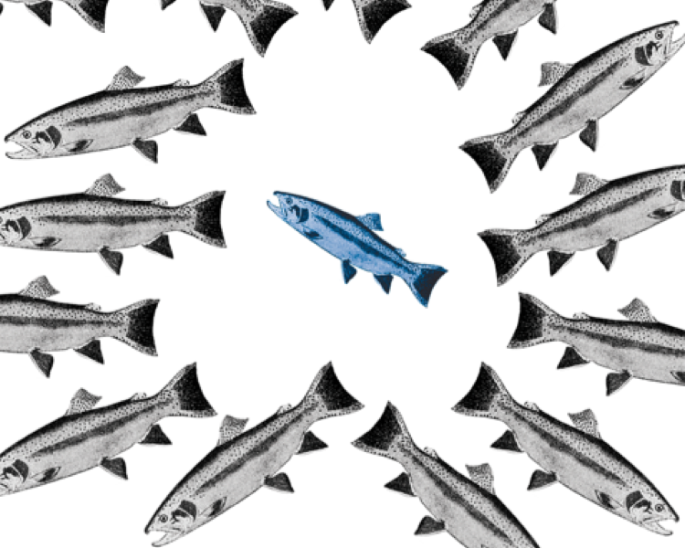 Perception 2018 - Omnibus Theatre